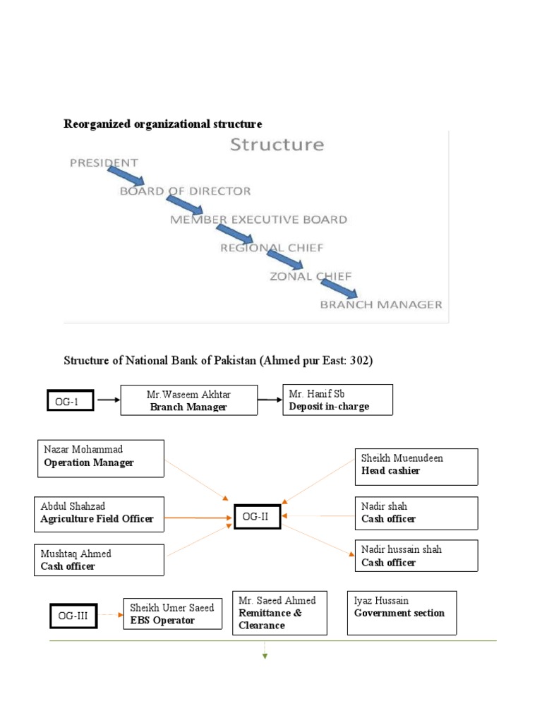 Reorganized Organizational Structure