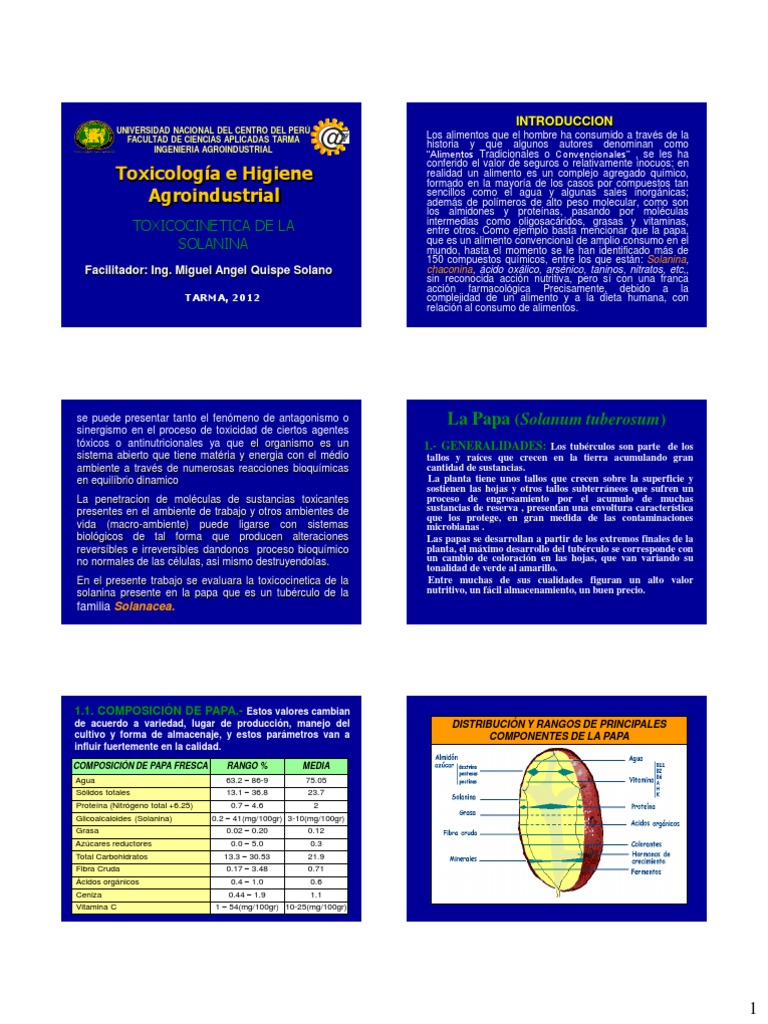 FSDFSD | PDF | Biotransformación | Patata