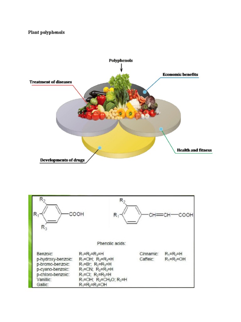 Flavanoid | PDF | Flavonoid | Polyphenol