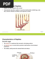 Military Dating Format | PDF | Love