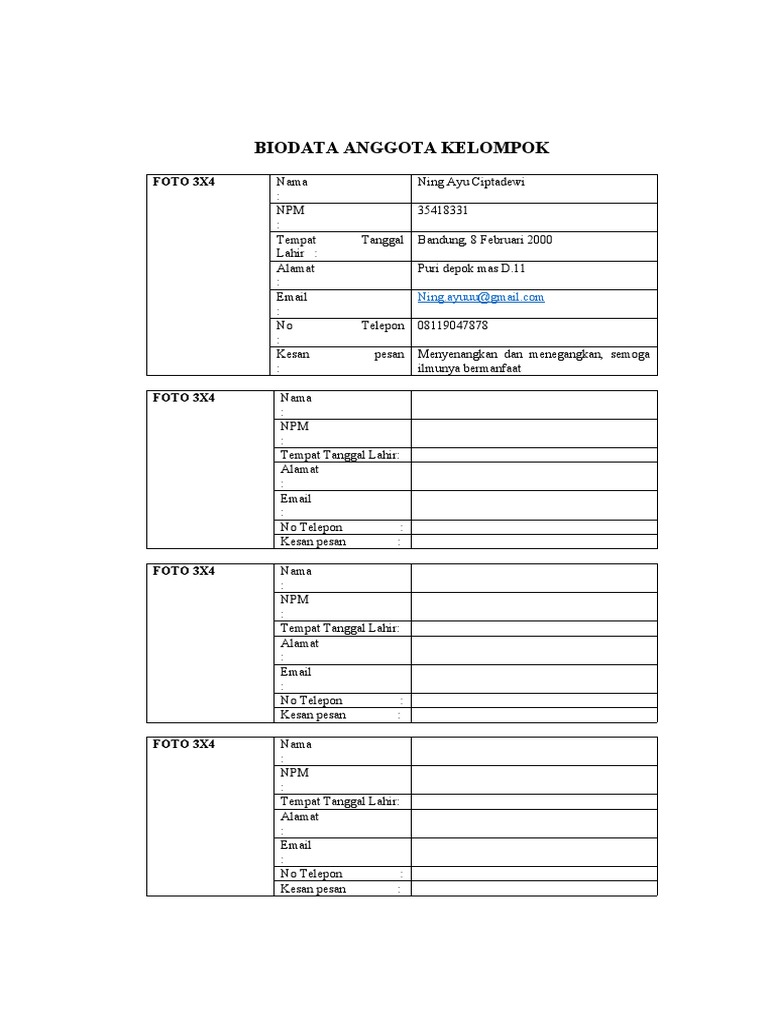 Biodata Anggota Kelompok | PDF
