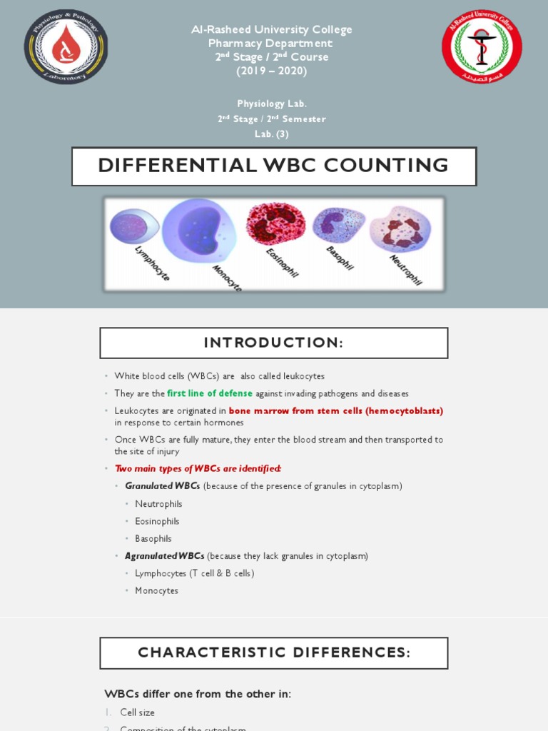 Differential WBC Counting | PDF | White Blood Cell | Anatomy
