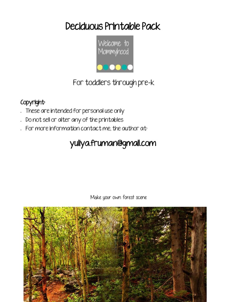 FOREST ANIMALS Pack - ENG PDF | PDF | Language Arts & Discipline | Home ...