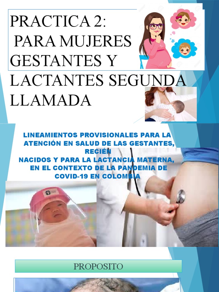 Rutas de Atencion Integral Materno Perinatal | PDF