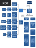 Anatomía Vulvar: Función y Estructura | PDF | Vagina | Clítoris