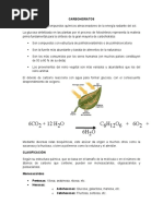 Bioqumica .... Rafinosa | PDF