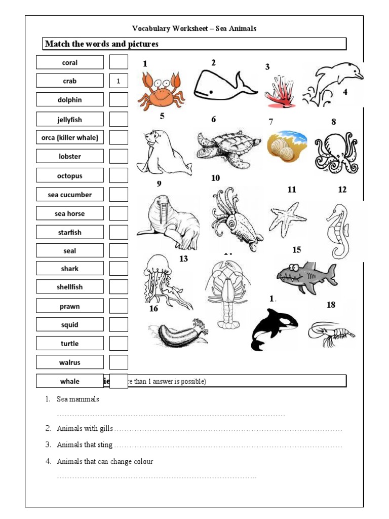 Match The Words and Pictures 1 3 2 4 8: Vocabulary Worksheet - Sea ...