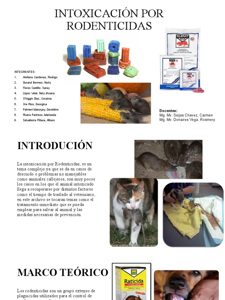 Intoxicación por rodenticidas en perros | PDF | Capilar | Coagulación