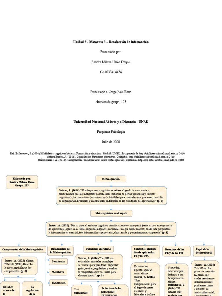 Unidad 3 - Momento 3 - Mapa Conceptual - Sandra Milena Usme | PDF | Teoria de la mente ...