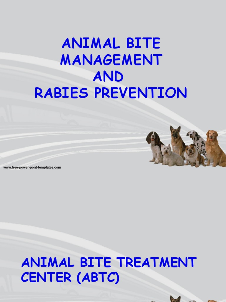 ANIMAL BITE and RABIES PREVENTION | PDF | Rabies | Vaccines