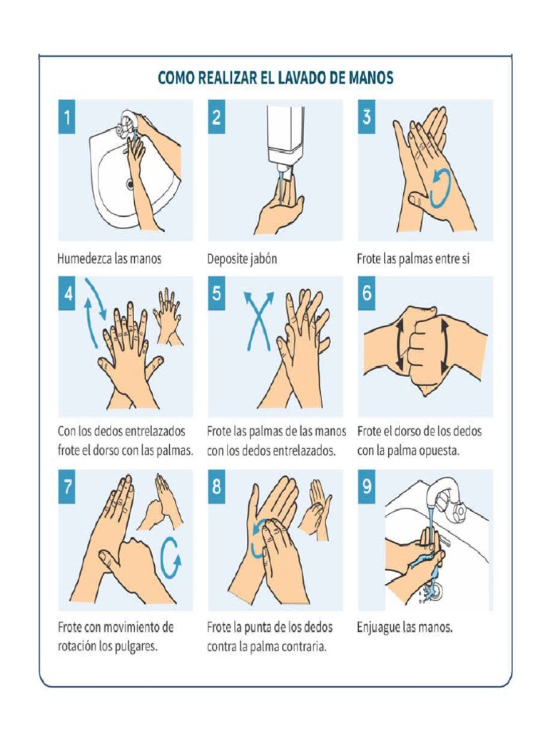 Protocolo Lavado de Manos | PDF