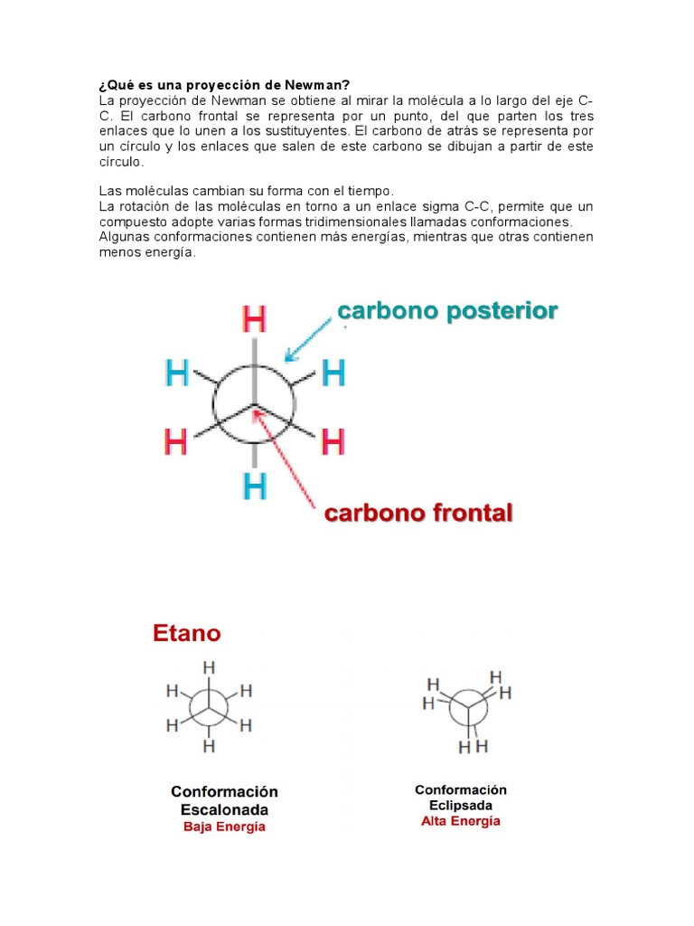 Proyecciones Newman | PDF