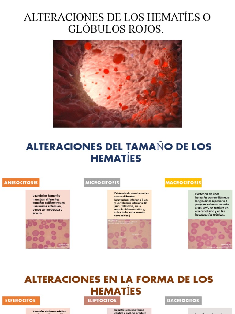 Alteraciones de los Glóbulos Rojos | PDF | Glóbulo rojo | Anemia