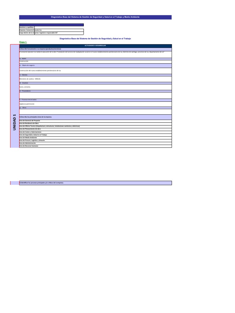 Formato Diagnóstico Ssoma | PDF | Outsourcing | Planificación