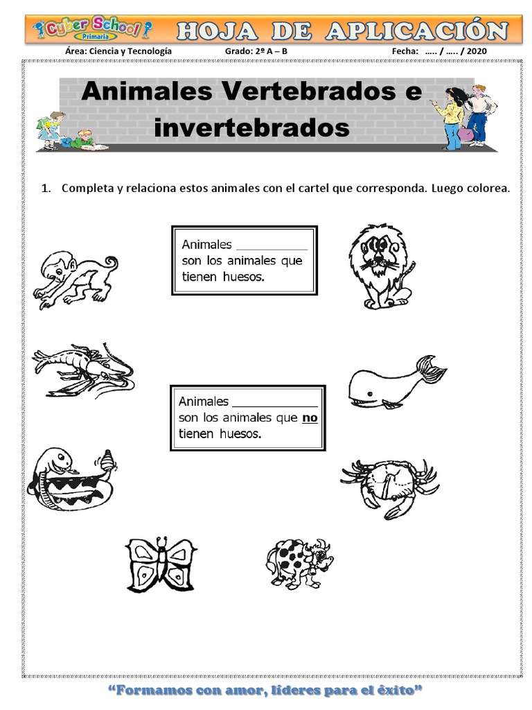 Actividades de Vertebrados e Invertebrados | PDF