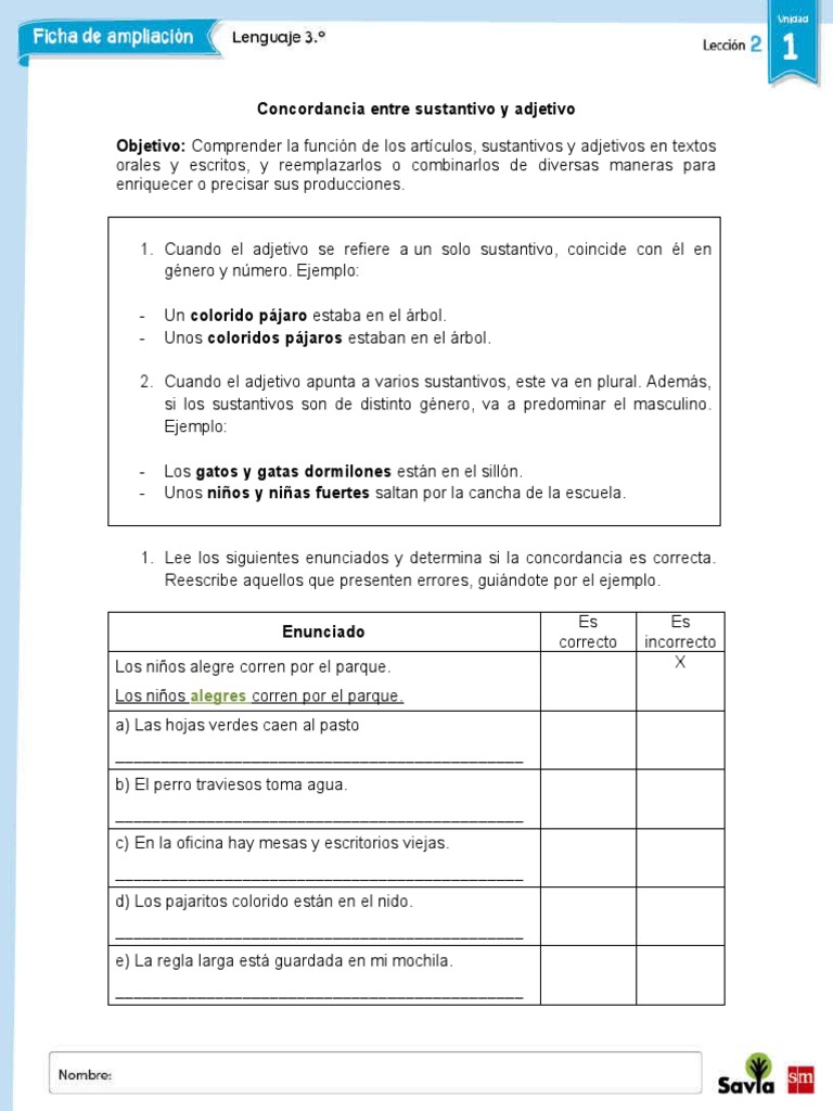 Concordancia Entre Sustantivo y Adjetivo | PDF | Adjetivo | Sustantivo