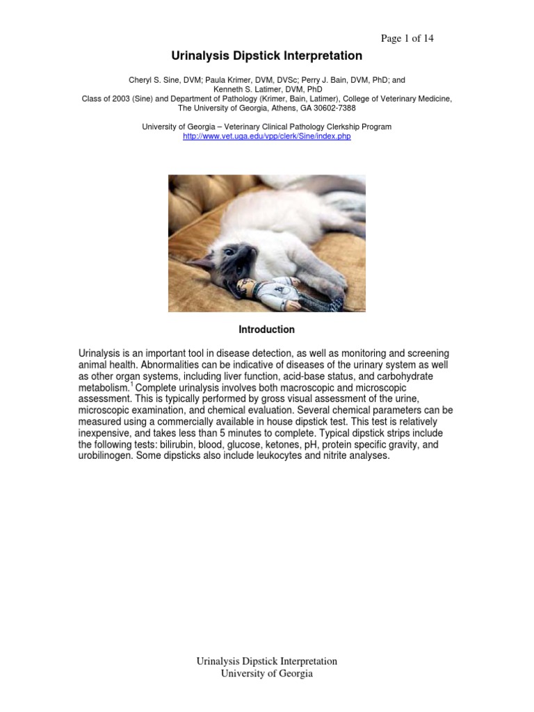 Urinalysis Dipstick Interpretation | PDF | Urine | Kidney
