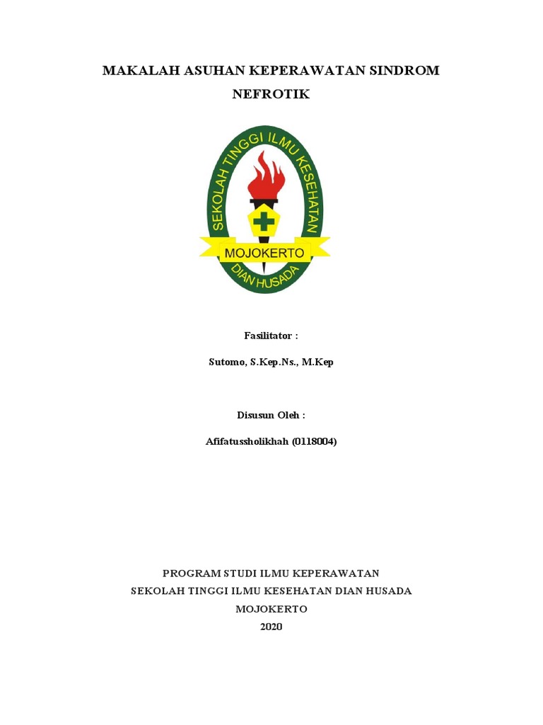 Asuhan Keperawatan Sindrom Nefrotik | PDF | Pengembangan Diri