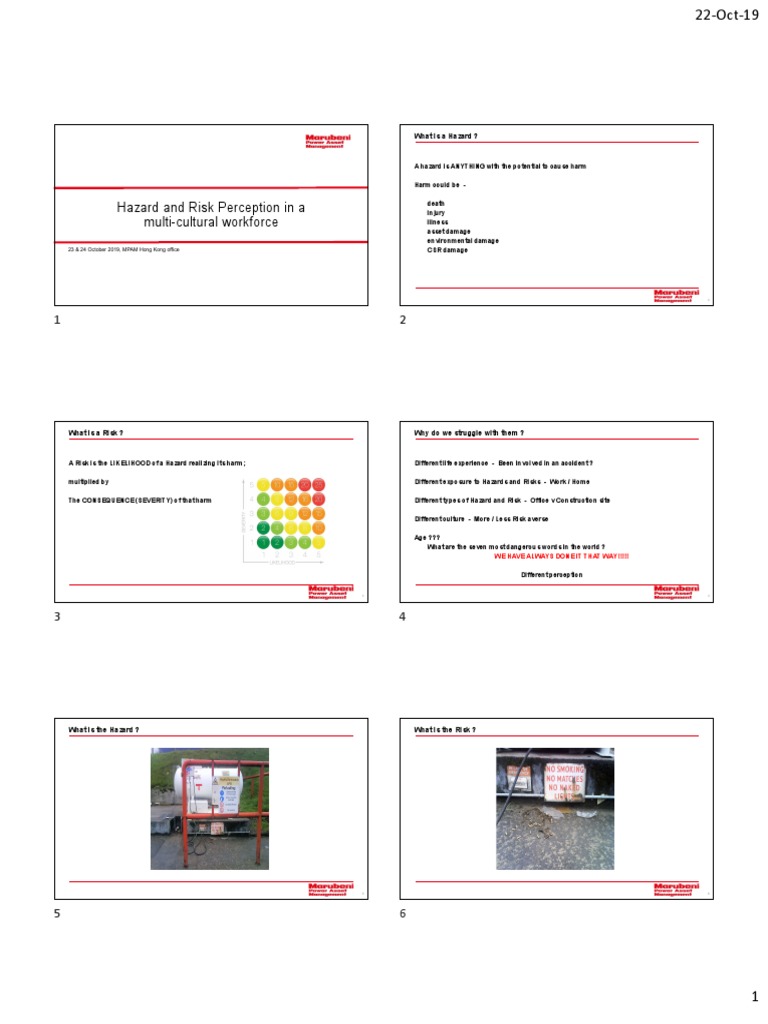 Hazard and Risk Perception in A Multi-Cultural Workforce | Download ...