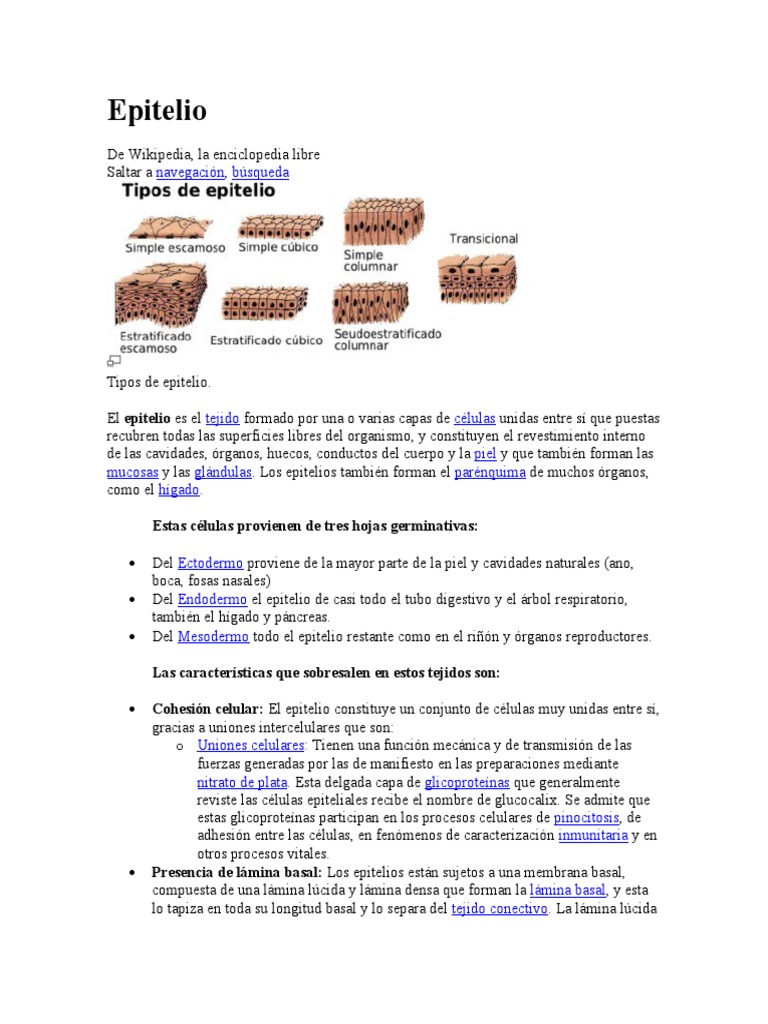 Celulas Planas | PDF | Epitelio | Tejido (biología)