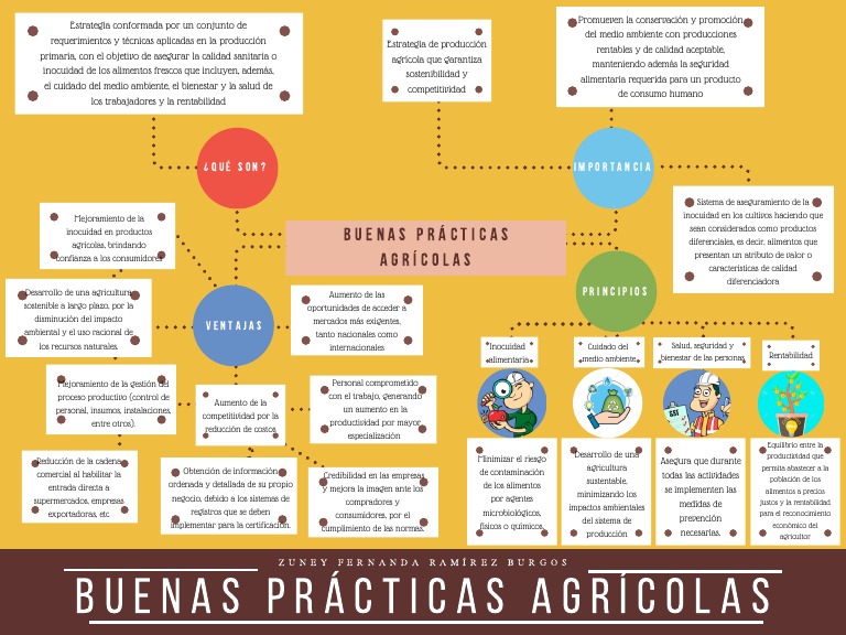 AA2-EV1. Mapa Conceptual "Principios Básicos de Las BPA" | PDF | Agricultura | Alimentos