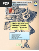 Celda Parotídea y Glandula Parotida RESUMEN | PDF ...