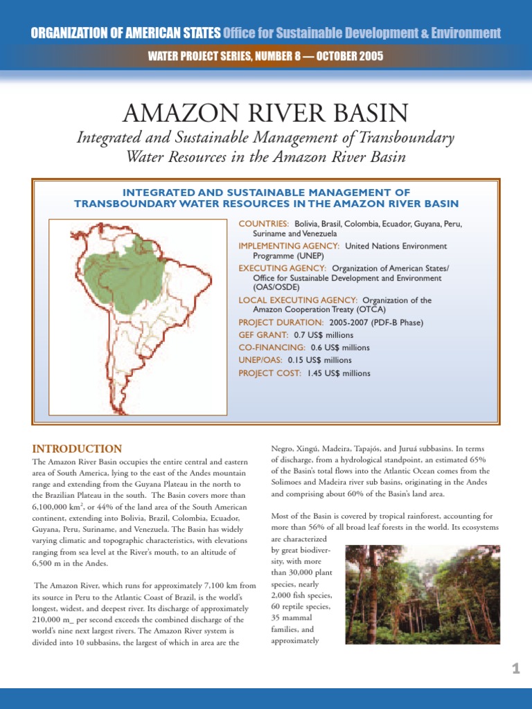 Amazon River Basin | PDF | Human Impact On The Environment | Sustainability
