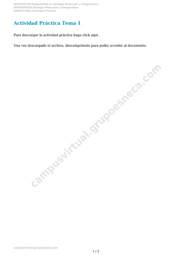 Actividad Práctica | PDF