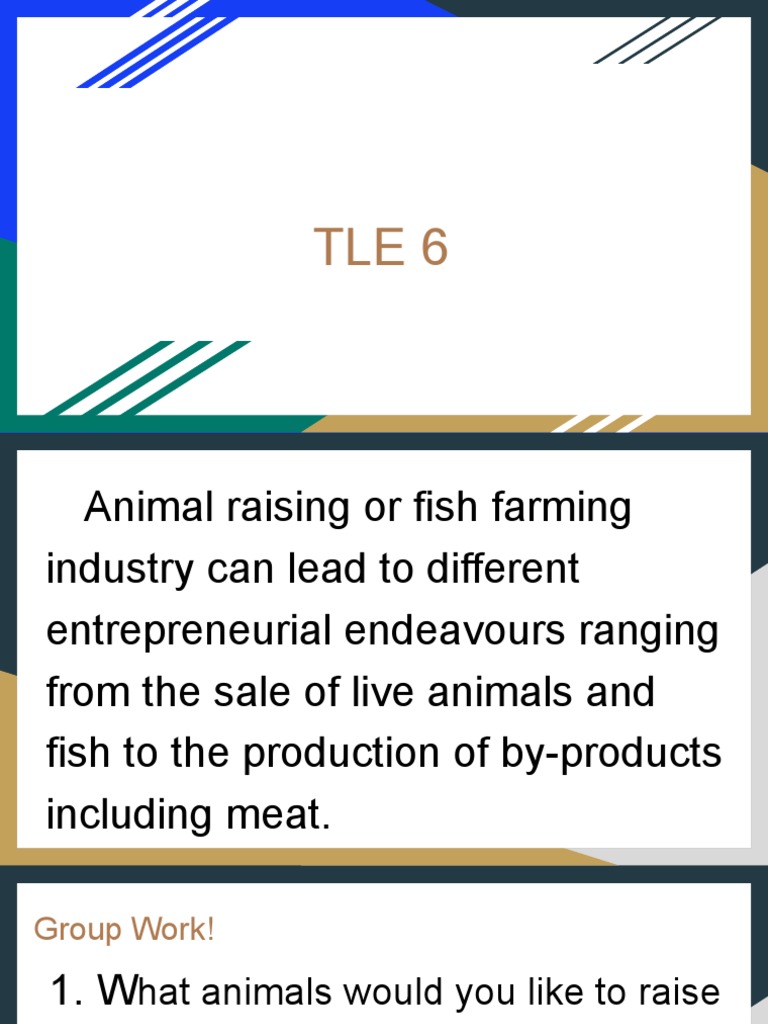 Tle 6july17 | PDF | Domestic Pig | Meat