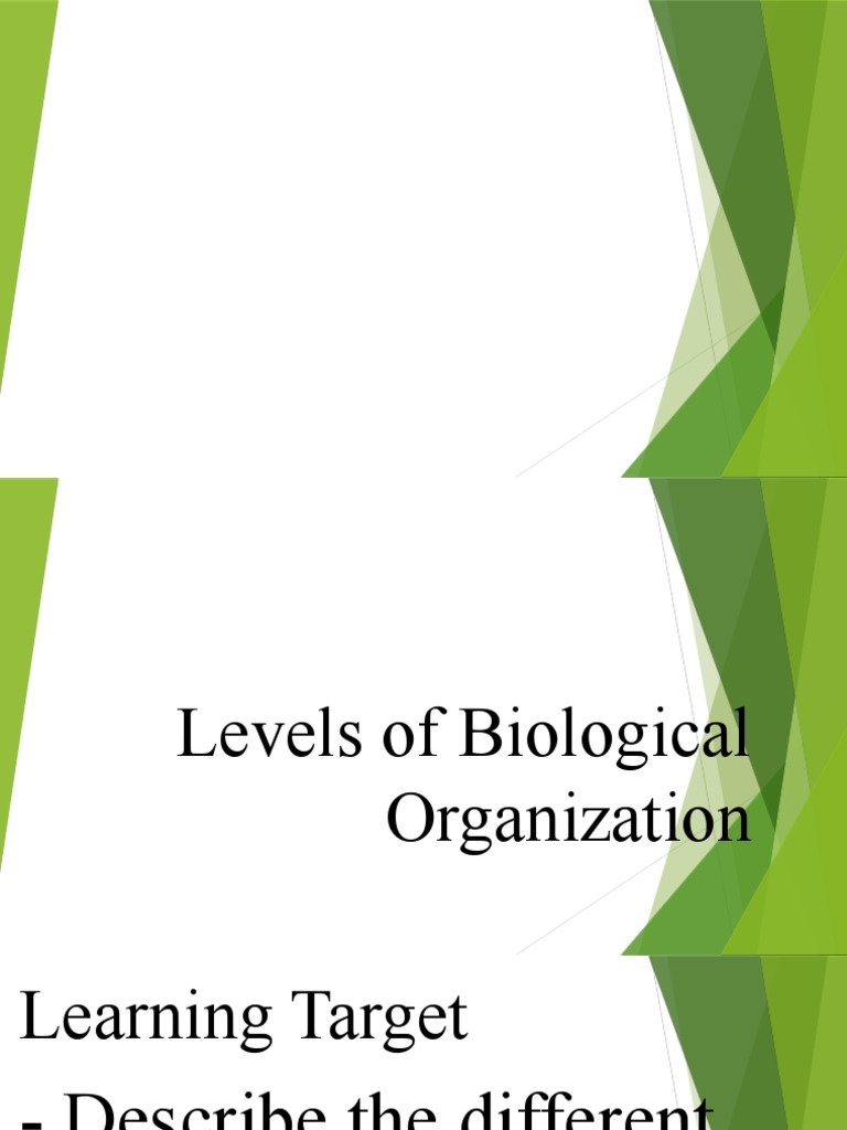 Grade 7 Levels of Biological Organization | PDF