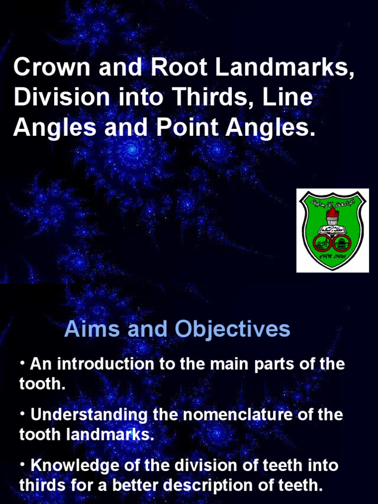 Crown and Root Landmarks, Division Into Thirds, Line Angles and Point ...