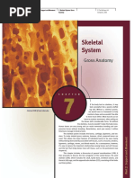 Unlabeled Axial Skeleton Overview | PDF | Skull | Skeletal System
