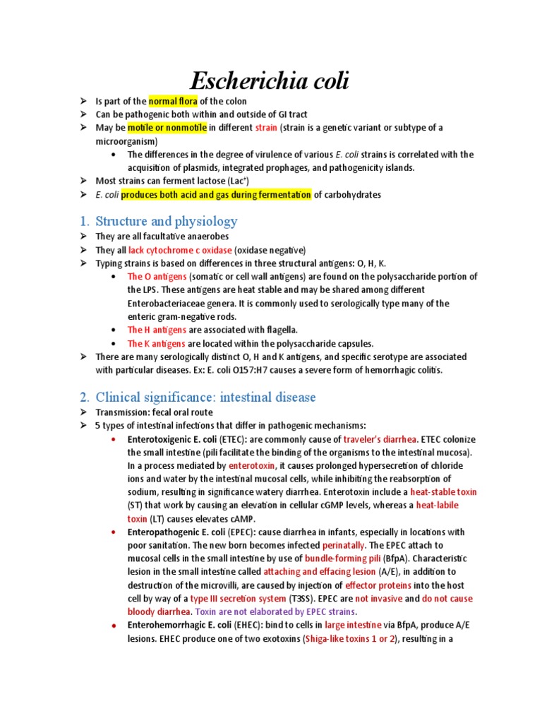 Escherichia Coli: 1. Structure and Physiology | PDF | Escherichia Coli ...
