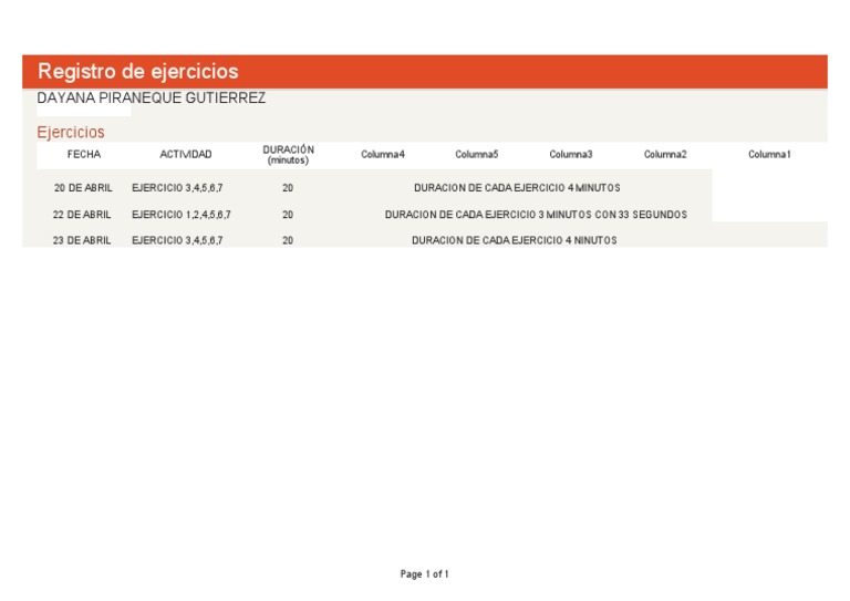 Registro de Ejercicio1 | PDF
