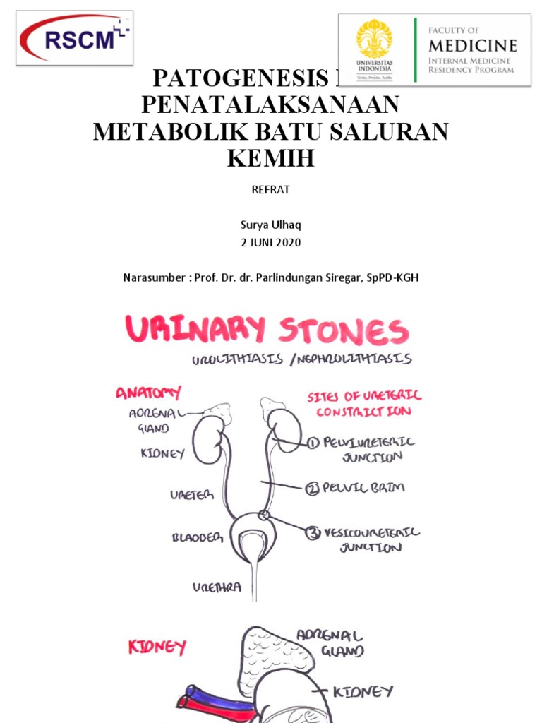 Patogenesis Dan Penatalaksanaan Metabolik Batu Saluran Kemih | PDF ...