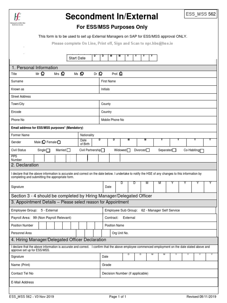 Ess Mss Form To Set Up External Managers On Sap For Ess Mss Approval ...