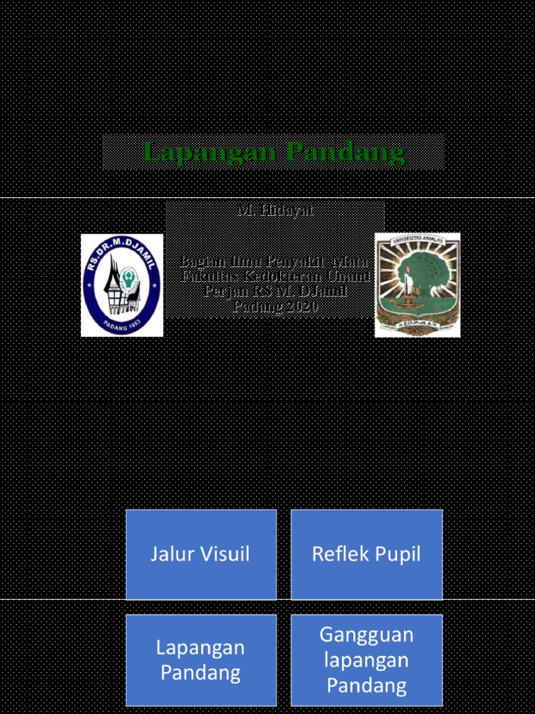 LAPANGAN PANDANG DAN JALUR VISUAL | PDF