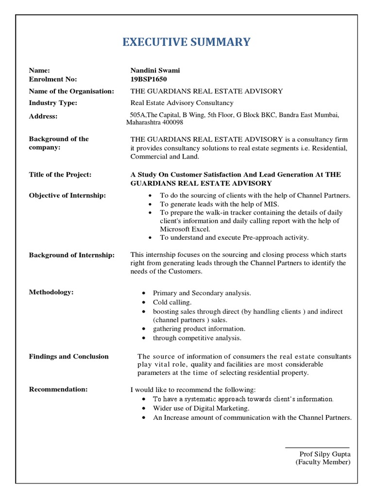 19BSP1650 - SIP Executive Summary 2 PDF | PDF | Customer | Sales