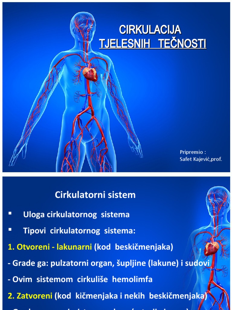 CIRKULACIJA I Srce | PDF