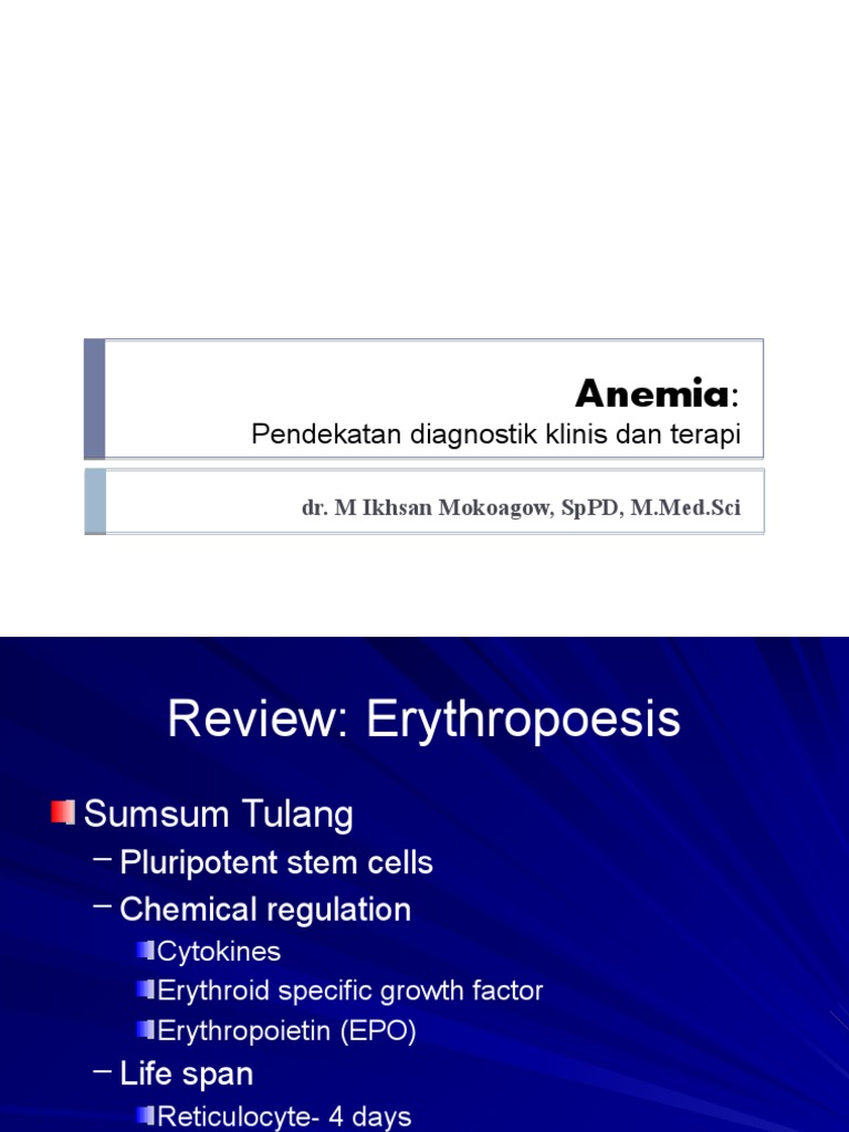 Anemia: Diagnosis and Treatment Approaches | PDF | Anemia | Red Blood Cell