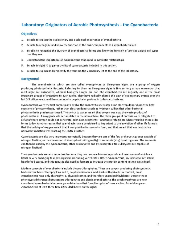 Merismopedia Slide