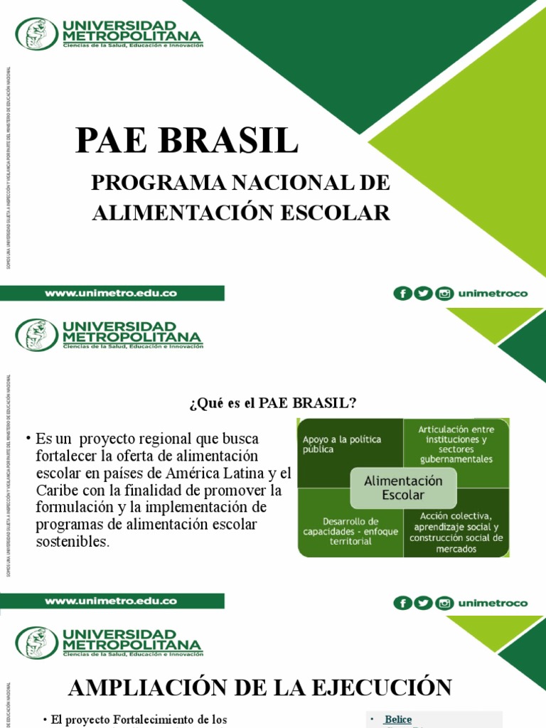 Pae Brasil | PDF | America latina | Américas