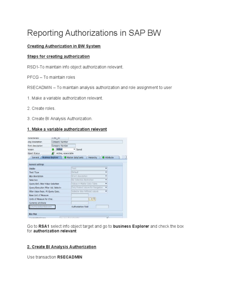 Reporting Authorizations in SAP BW | PDF | Variable (Computer Science ...