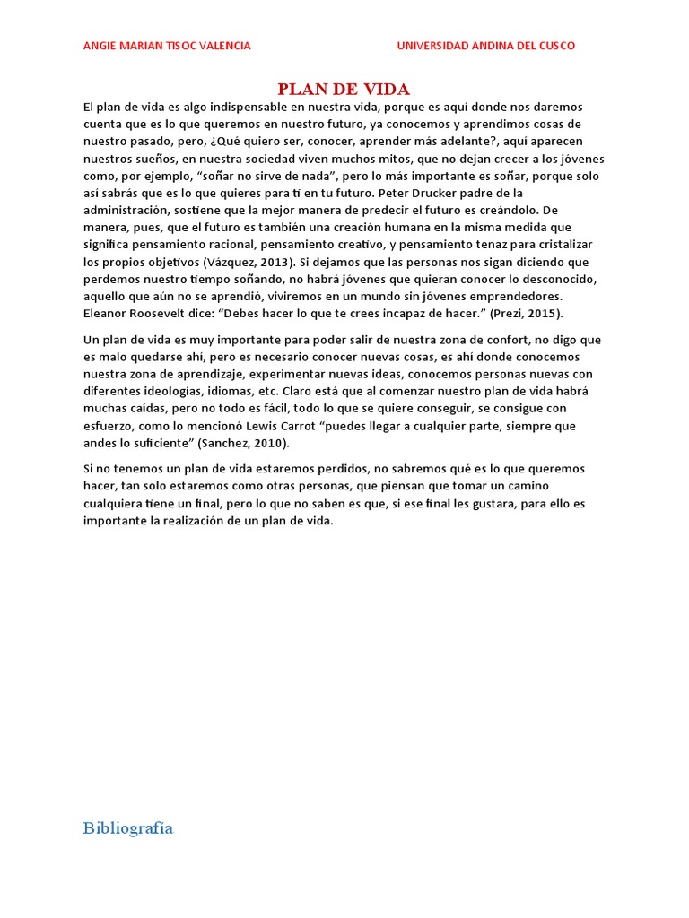 Plan De Vida Pdf Science Ciencia Y Tecnología