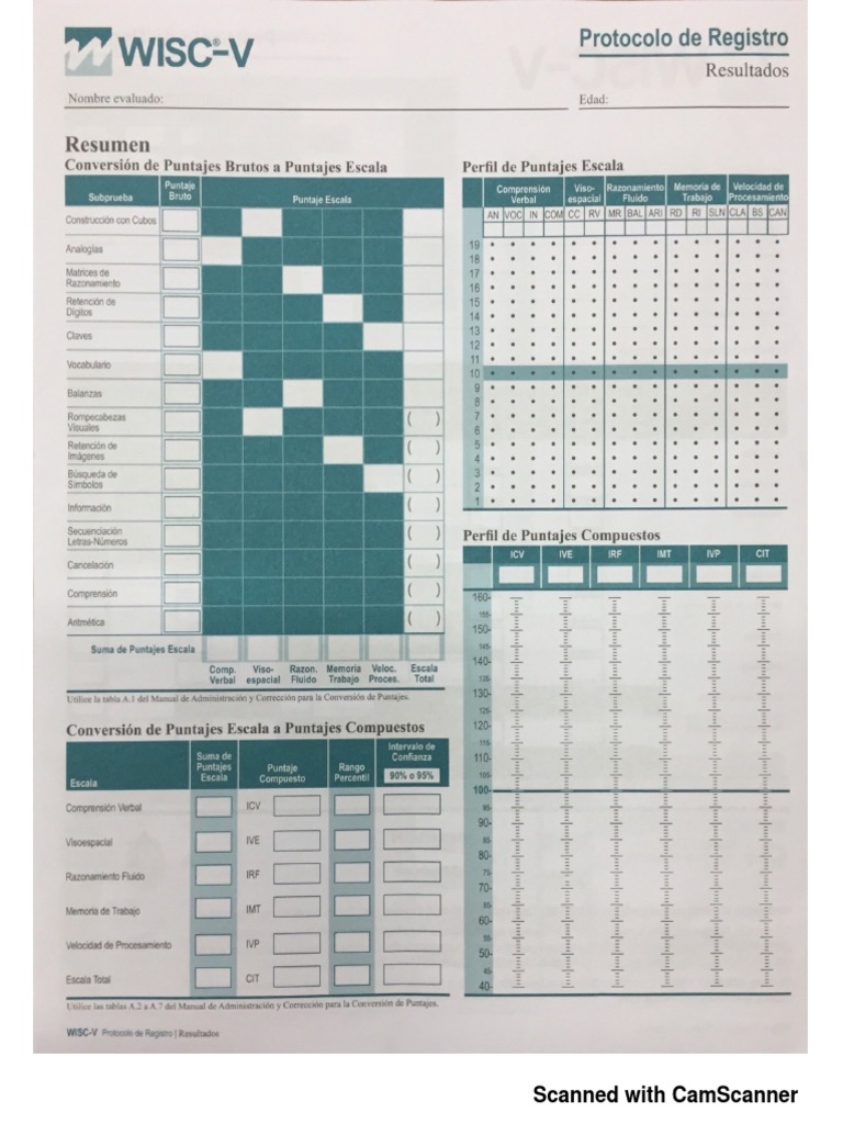 Hoja Análisis Cuantitativo WISC V | PDF