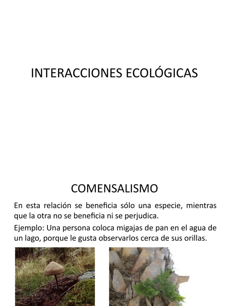 Interacciones Ecológicas.. | PDF