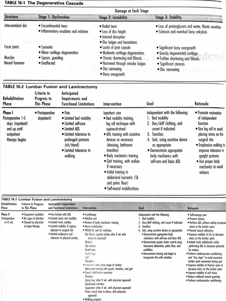Lumbar Fusion Protocol | PDF | Weight Training | Strength Training