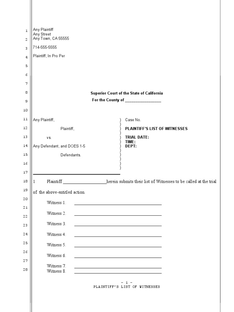 Plaintiff's Witness List Template | PDF | Pro Se Legal Representation ...