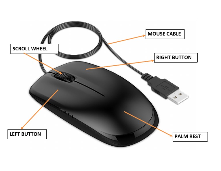 Mouse Parts and Functions Overview | PDF