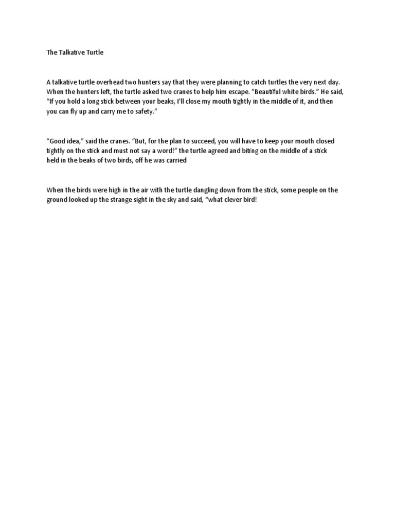 The Talkative Turtle | PDF | Travel | Home & Garden